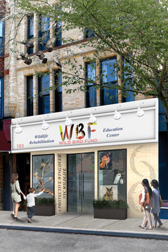 Brooklyn Capital Campaign - Wild Bird Fund